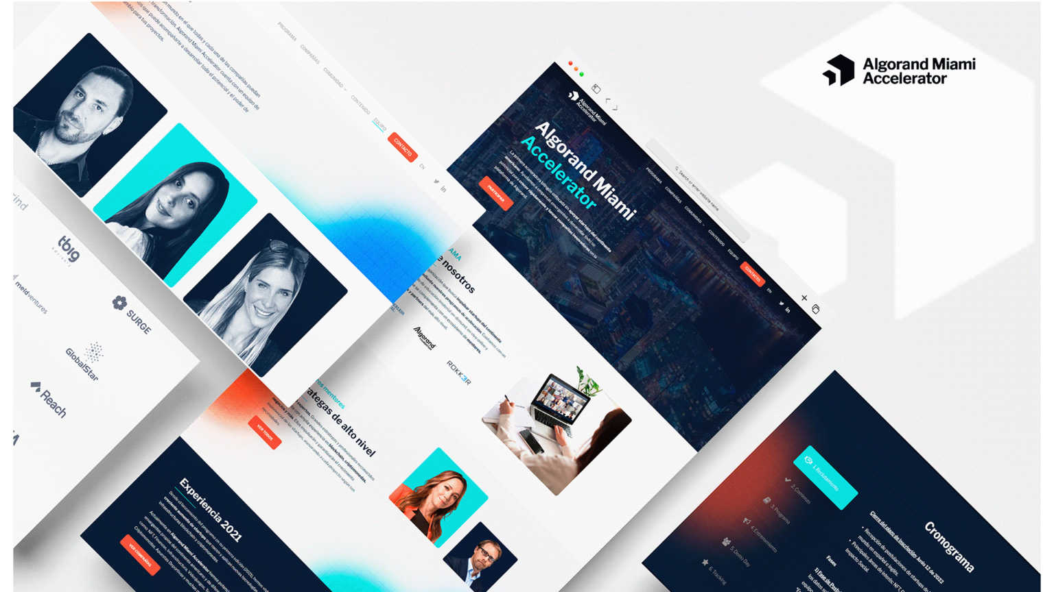 Algorand Miami Accelrator - WASD | Agencia de Marketing Digital