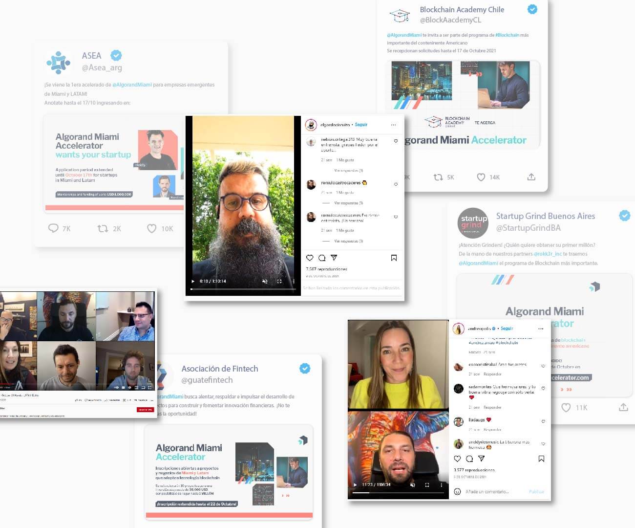 Algorand Miami Accelrator - WASD | Agencia de Marketing Digital